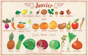 CALENDRIER DES FRUITS ET LEGUMES DE JANVIER - Stéphanie TURPEAU