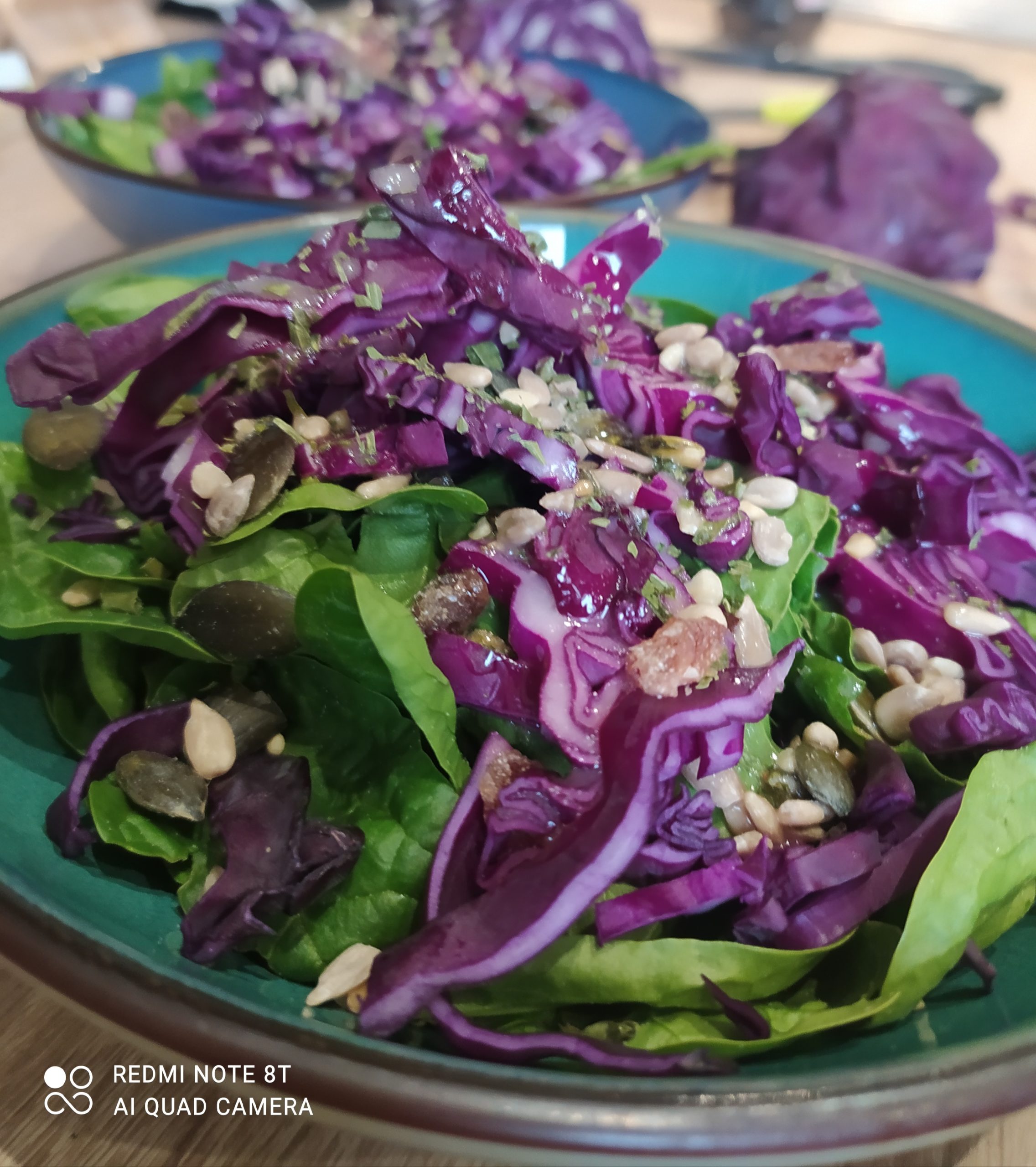 SALADE DE CHOU ROUGE POUSSES EPINARD - Stéphanie TURPEAU
