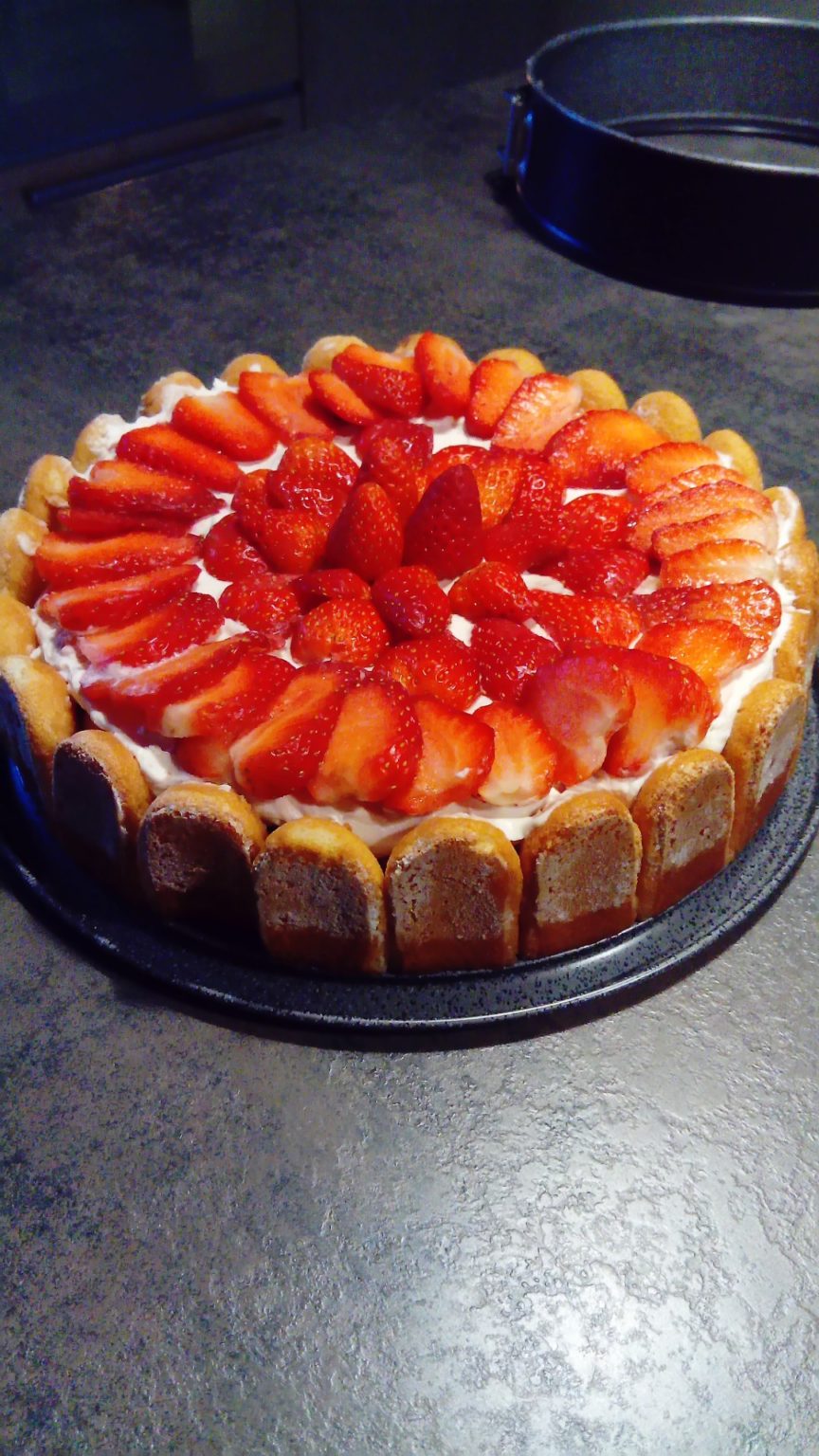 CHARLOTTE AUX FRAISES - Stéphanie TURPEAU